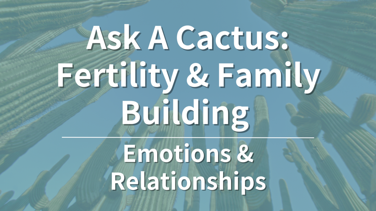 Ask a Cactus: Emotions And Relationships - Cactus Cancer Society