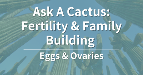 Ask a Cactus: Eggs and Ovaries - Cactus Cancer Society